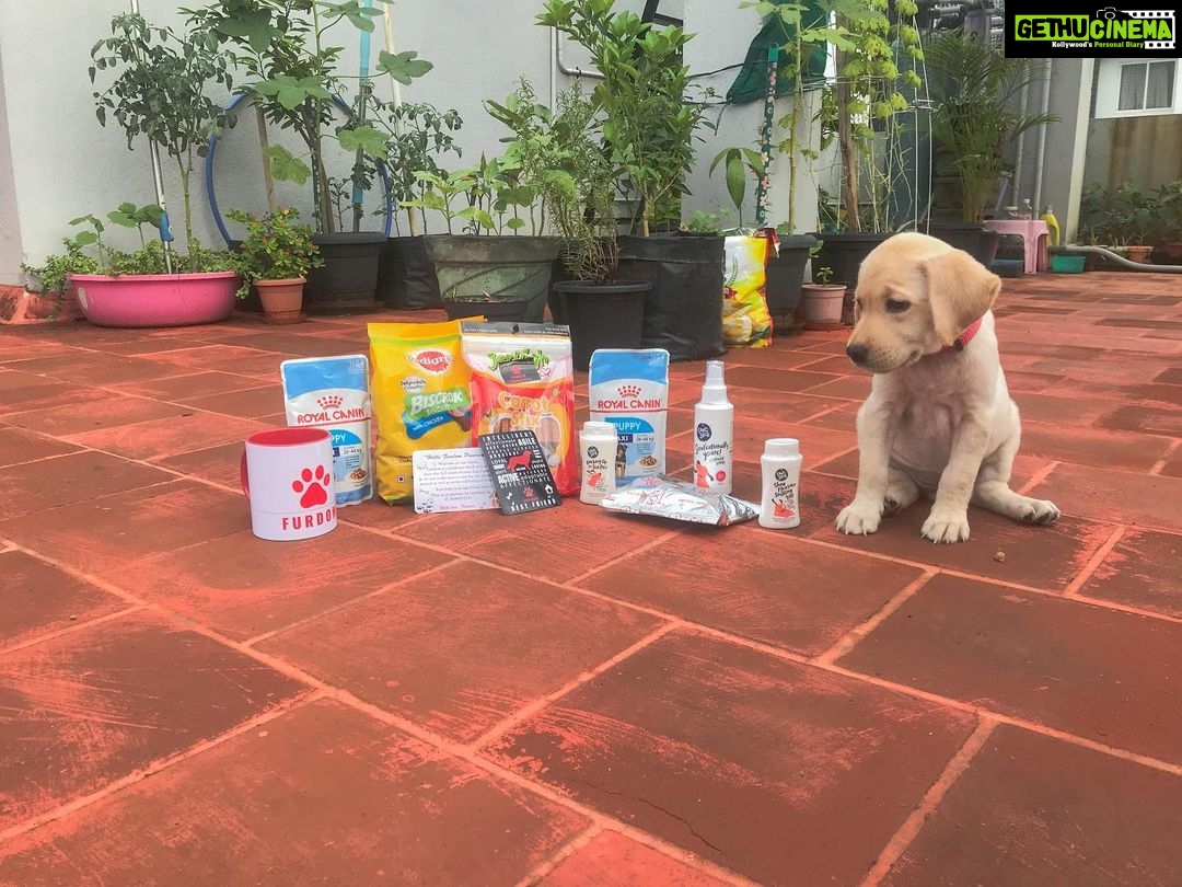 Gabriella Charlton Instagram – Thea approves. If you’re a pet owner ...