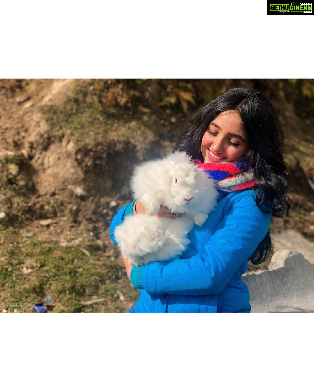 Ashnoor Kaur Instagram – Meet my new friend in Manali… This cutie white ...