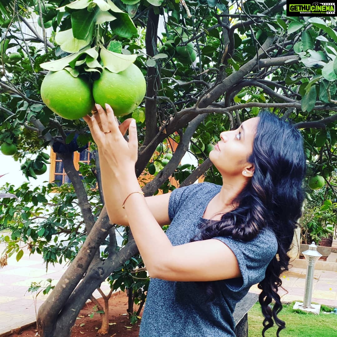 Bhanu Sri Mehra Instagram – Hey guys good morning Danni dabbakai antaru ...