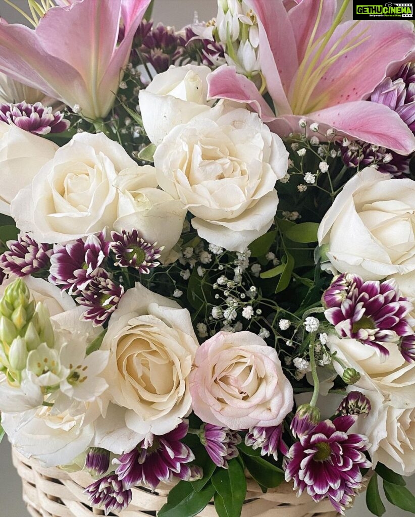 Tara Sutaria Instagram - Saal Mubarak from us to you! This is our ...