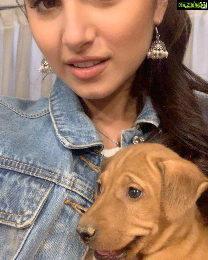 Tara Sutaria Instagram – MY BABY JAAN!!!!! Little Pupples!!!! Found him ...