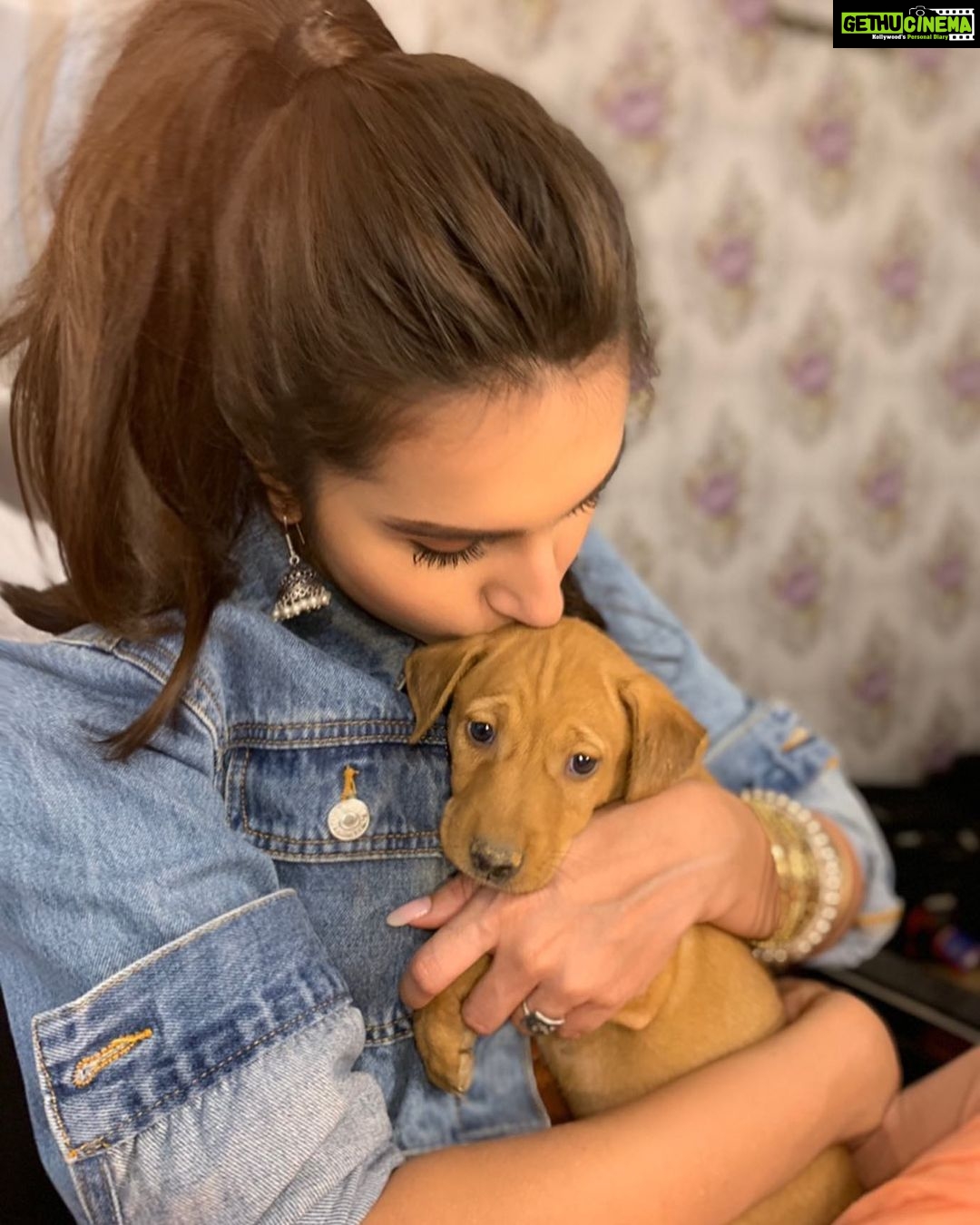 Tara Sutaria Instagram – MY BABY JAAN!!!!! Little Pupples!!!! Found him ...