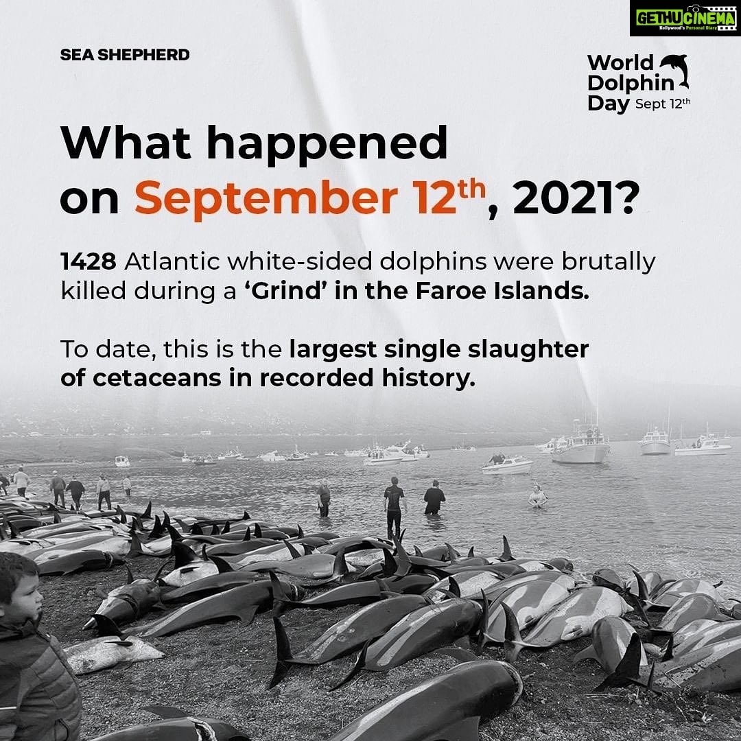 Amy Jackson Instagram – Repost @seashepherduk Today is WORLD DOLPHIN ...