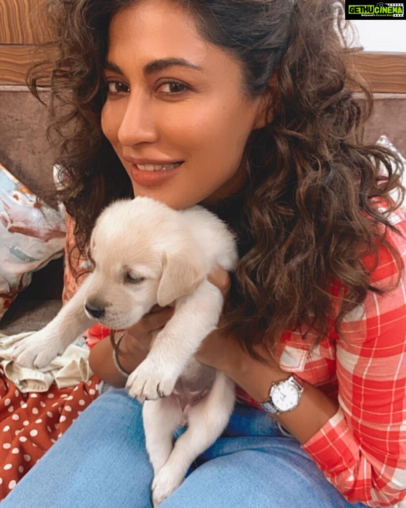 Actress Chitrangada Singh HD Photos and Wallpapers October 2022 - Gethu ...