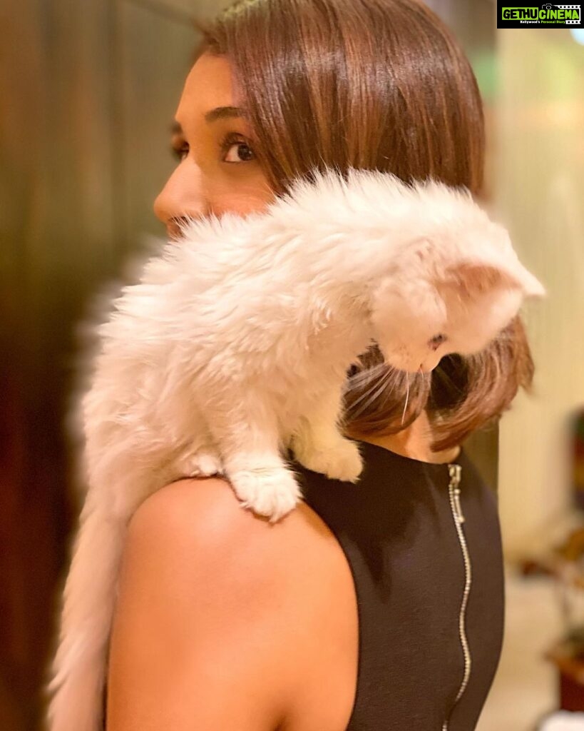 Actress Shakti Mohan HD Photos and Wallpapers January 2021 | Gethu Cinema