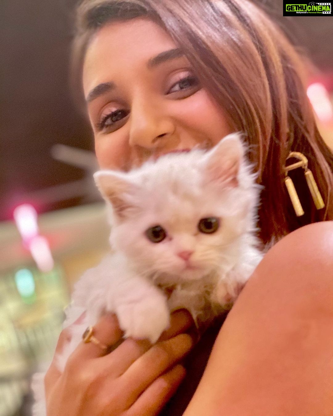 Shakti Mohan Instagram – Feeling catty 💕 📷@krutimahesh | Gethu Cinema