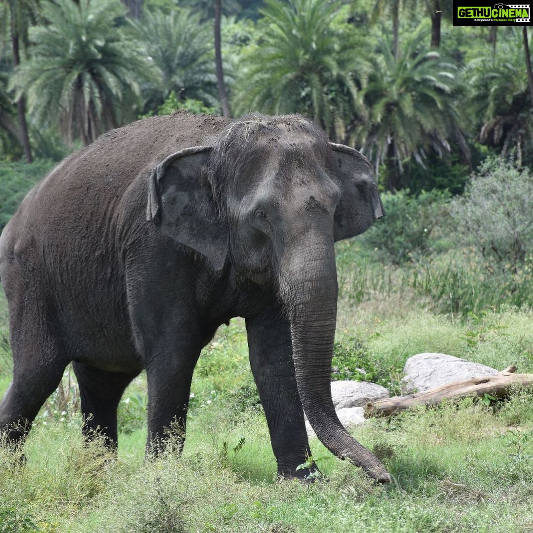 Upasana Kamineni Instagram – This is with profound grief and immense ...