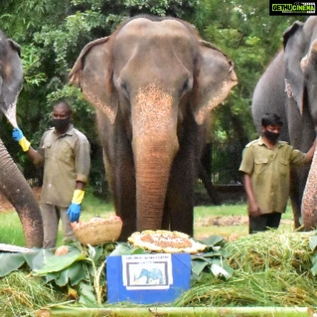 Upasana Kamineni Instagram – This is with profound grief and immense ...