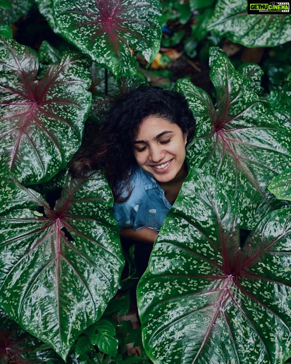 Actress Deepa Thomas HD Photos and Wallpapers August 2022 - Gethu Cinema