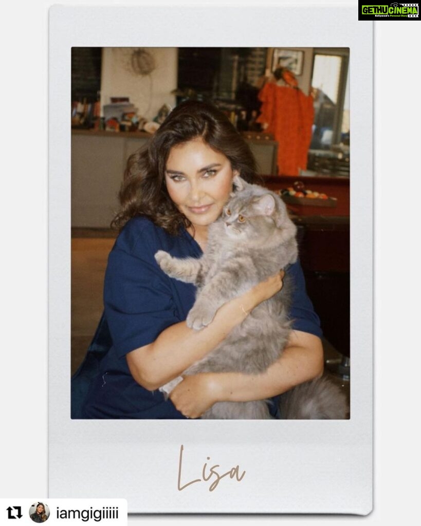 Actress Lisa Ray HD Instagram Photos and Wallpapers November 2022 ...