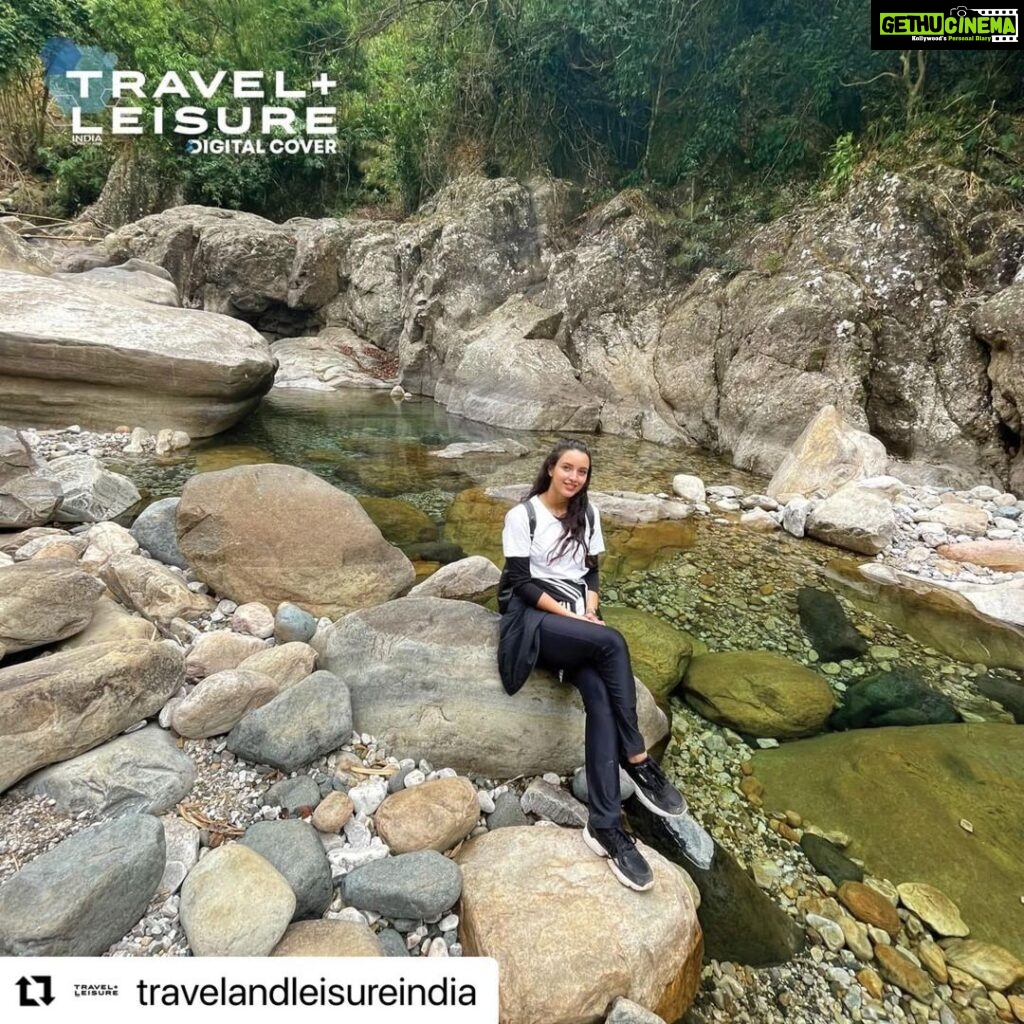 Actor Tripti Dimri HD Instagram Photos and Wallpapers March 2022 ...