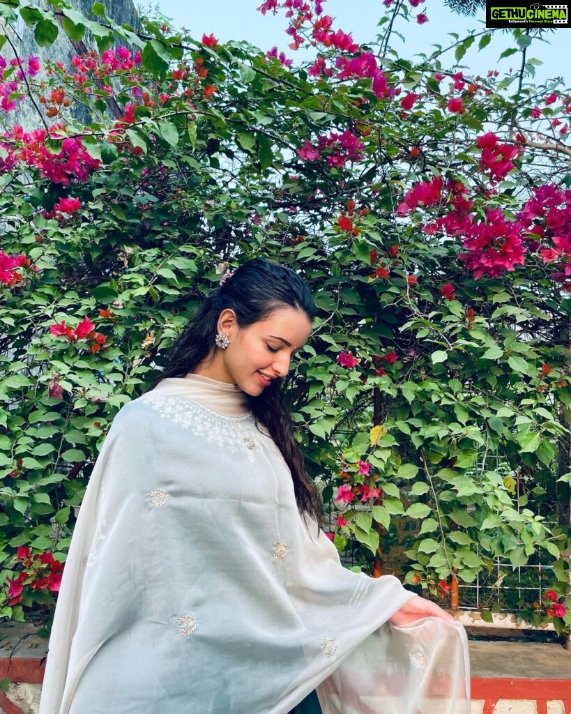 Actor Tripti Dimri HD Photos and Wallpapers January 2022 - Gethu Cinema