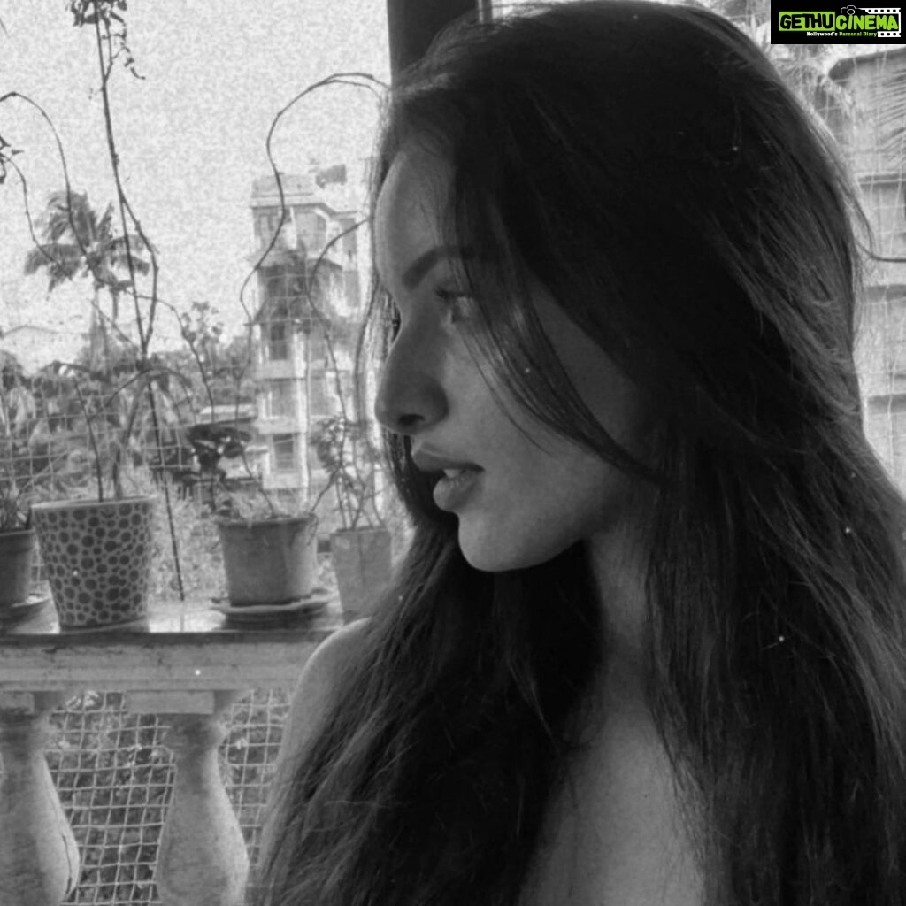 Actor Tripti Dimri HD Photos and Wallpapers October 2021 - Gethu Cinema