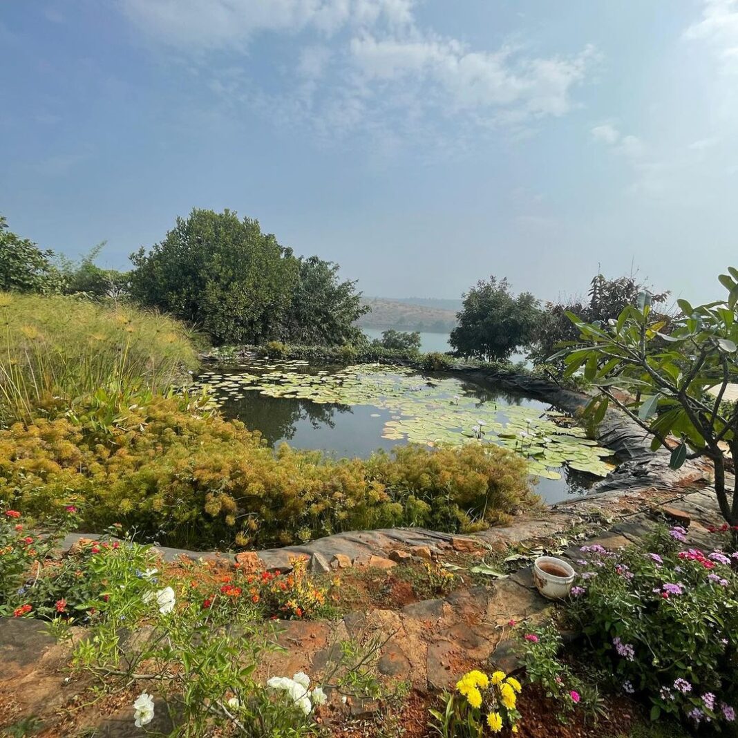 Actor Tripti Dimri HD Photos and Wallpapers January 2022 | Gethu Cinema