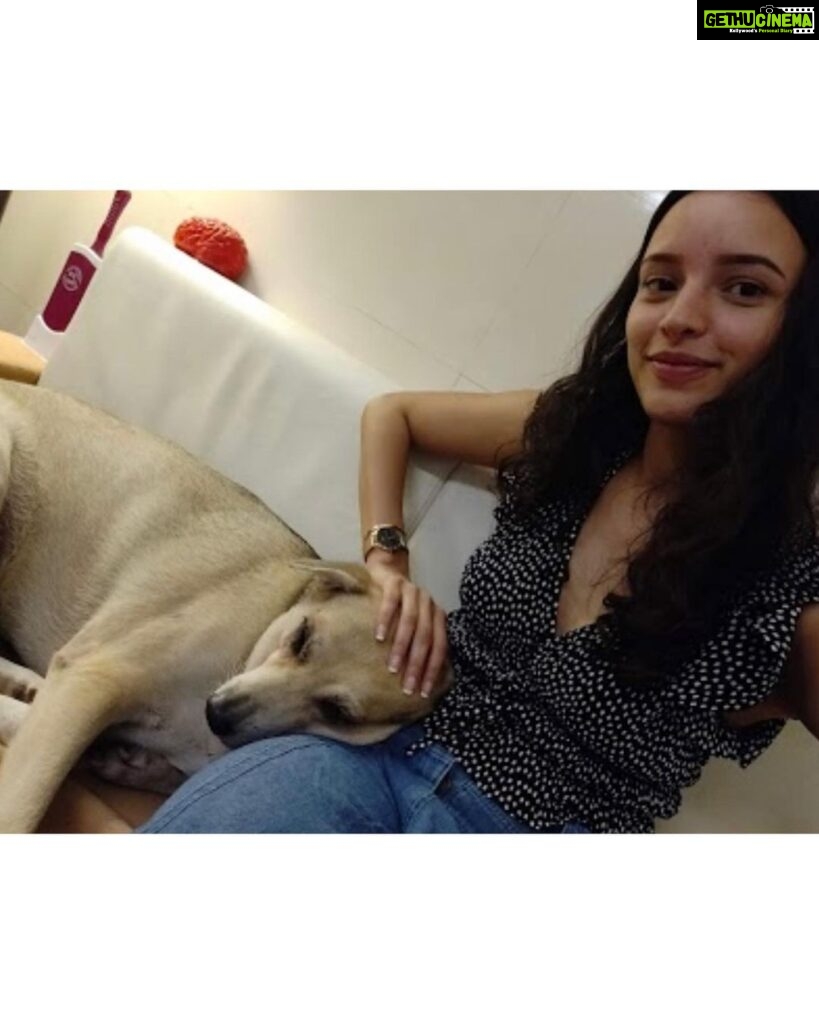 Actor Tripti Dimri HD Photos and Wallpapers August 2021 - Gethu Cinema