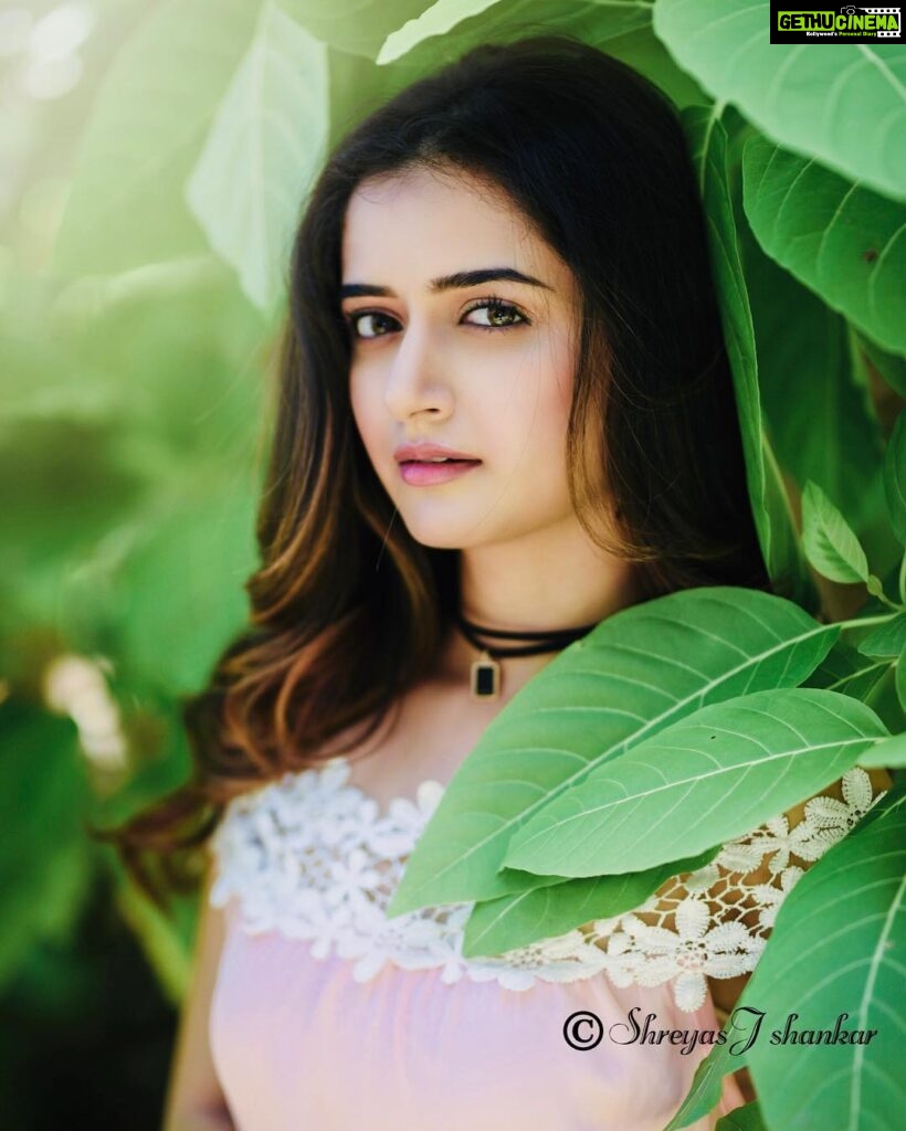 Ashika Ranganath Instagram - Perfect shot 🎀 PC : @shreyas.j.shankar MUA ...