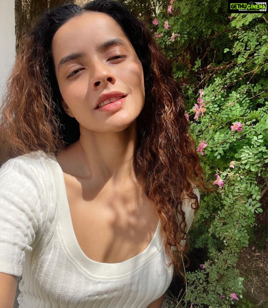 Actress Athulya Chandra HD Instagram Photos and Wallpapers June 2022 ...