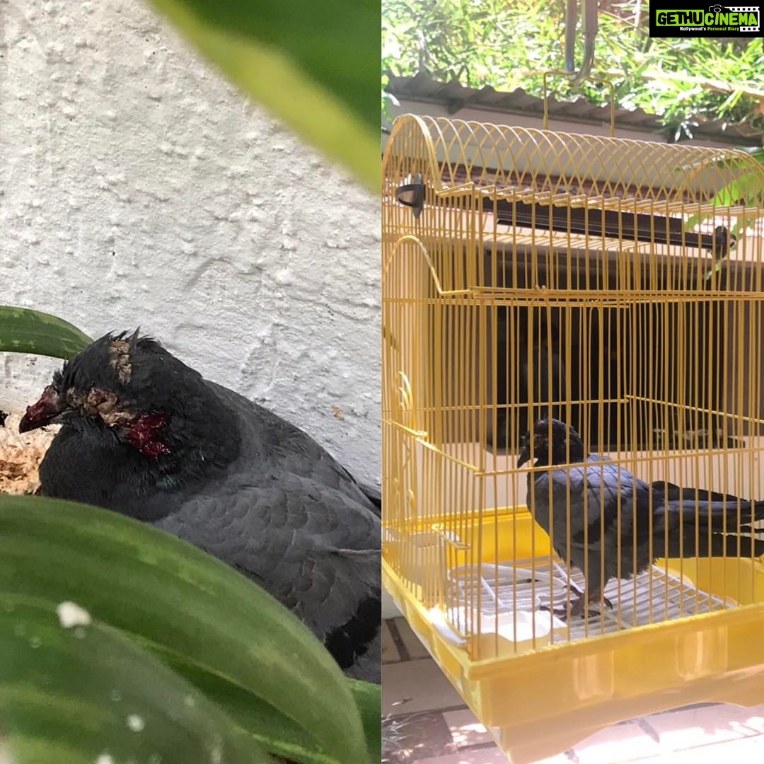 John Abraham Instagram – Badly hurt!!!! but now protected till he can ...