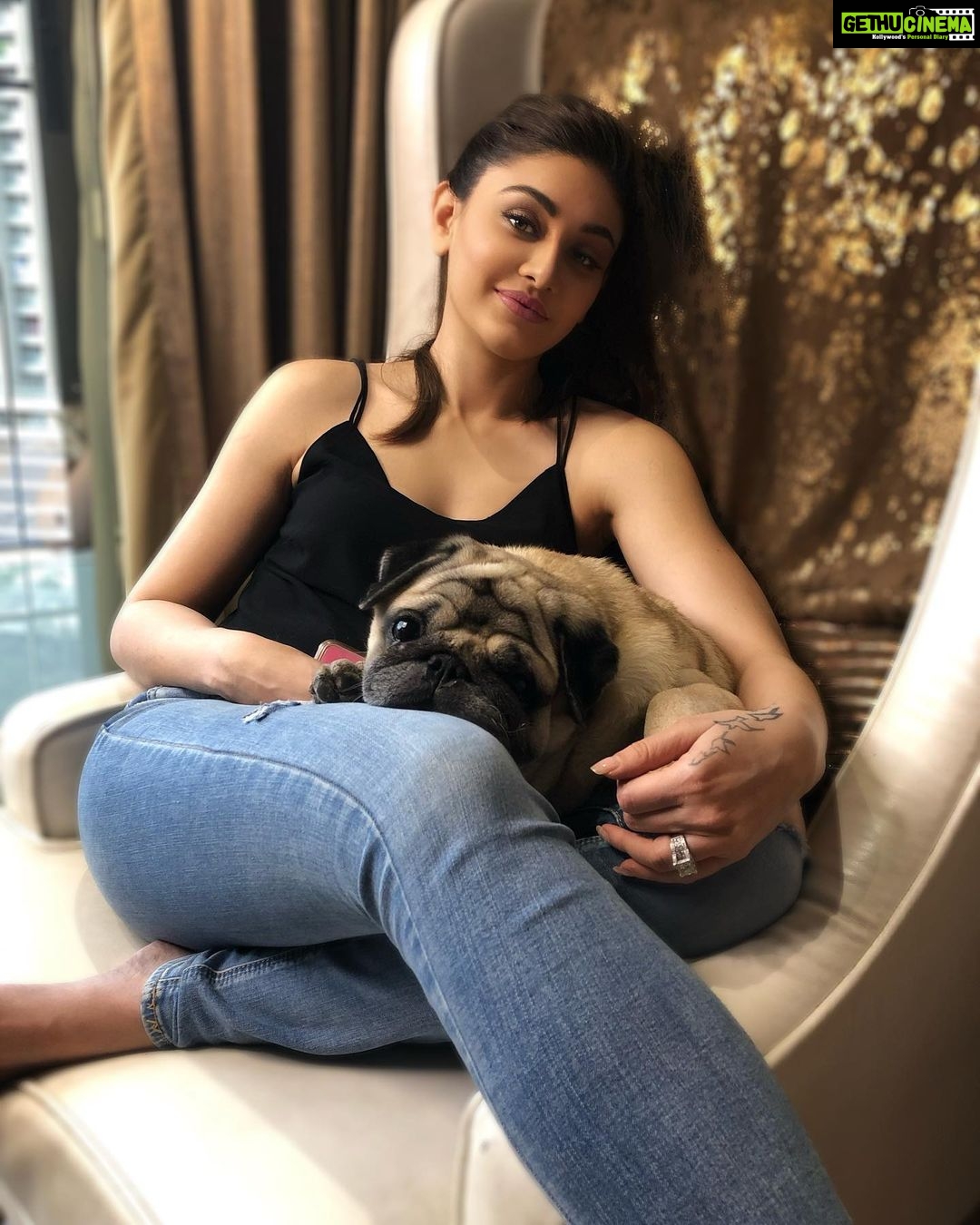 Shefali Jariwala Instagram – Puppy Love 🥰😍 . . . #pugmom # ...