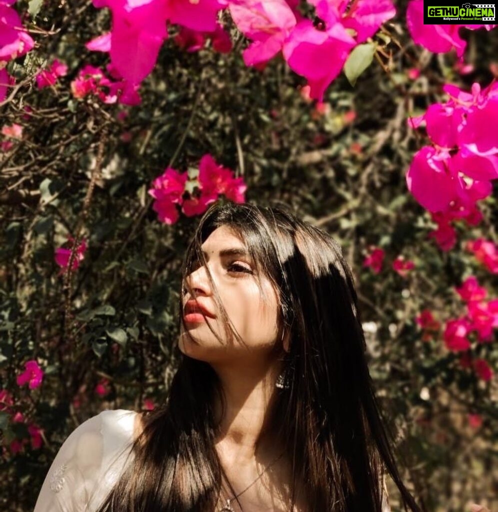 Actress Sreeleela HD Instagram Photos and Wallpapers March 2021 | Gethu ...