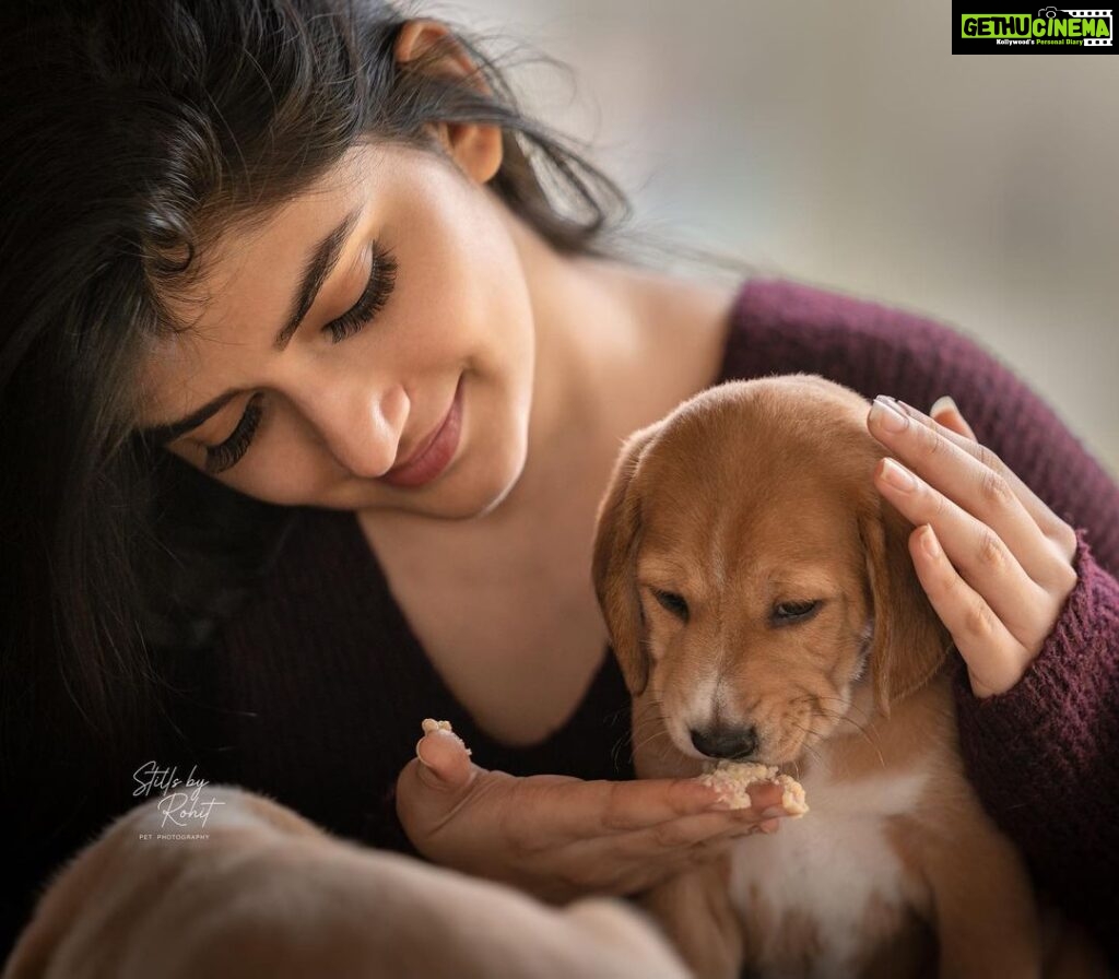 Actress Sreeleela HD Instagram Photos and Wallpapers September 2020 ...