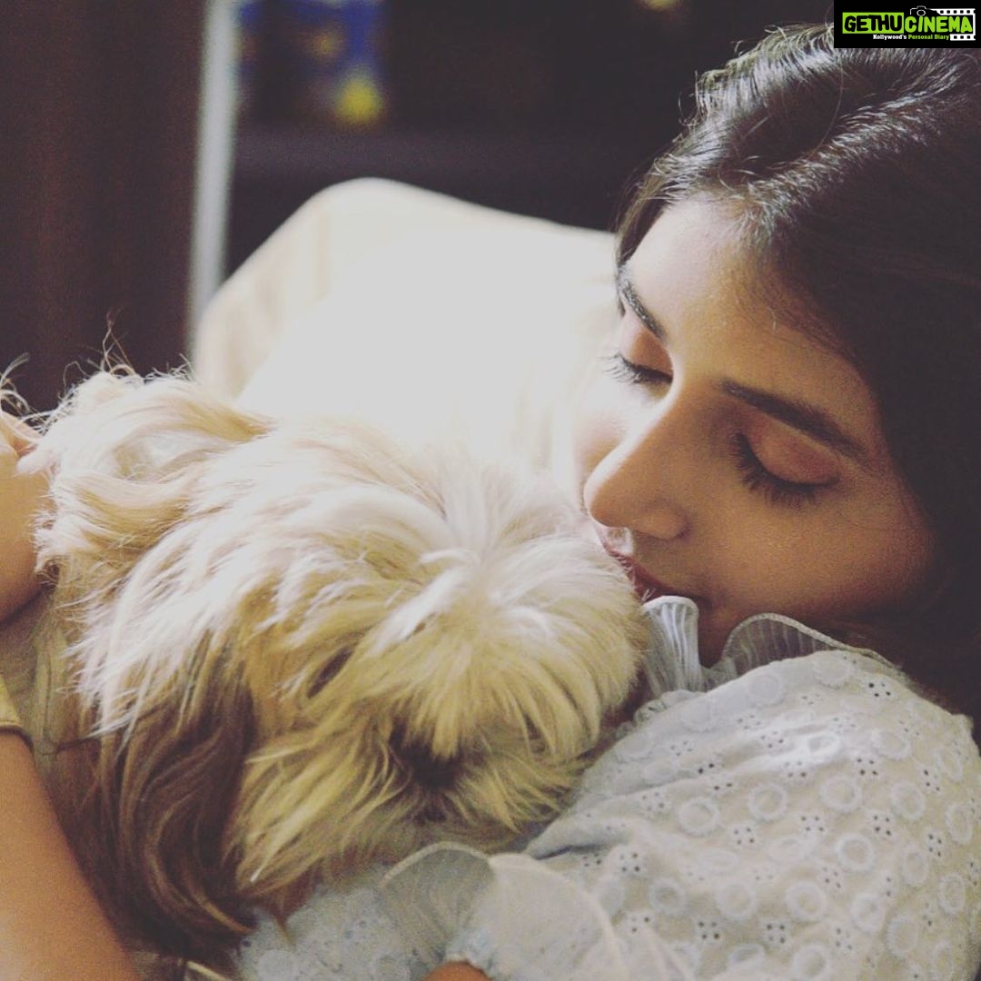 Sreeleela Instagram – My adorable , cute , fun ,obedient little fur ...