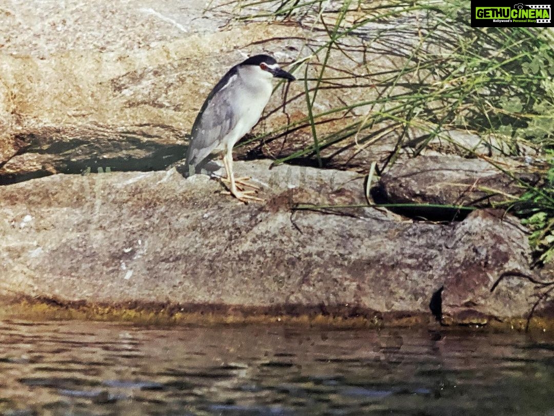 Sunder Ramu Instagram – One of the earliest images of me as a ...