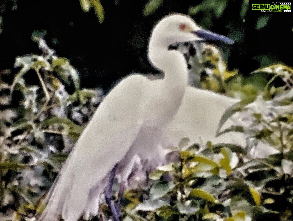 Actor Sunder Ramu HD Instagram Photos and Wallpapers July 2022 | Gethu ...