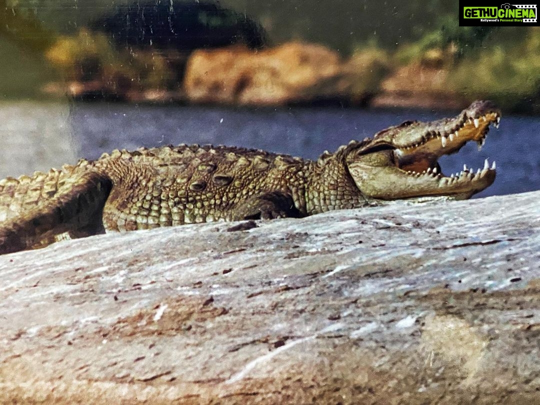 Sunder Ramu Instagram – One of the earliest images of me as a ...