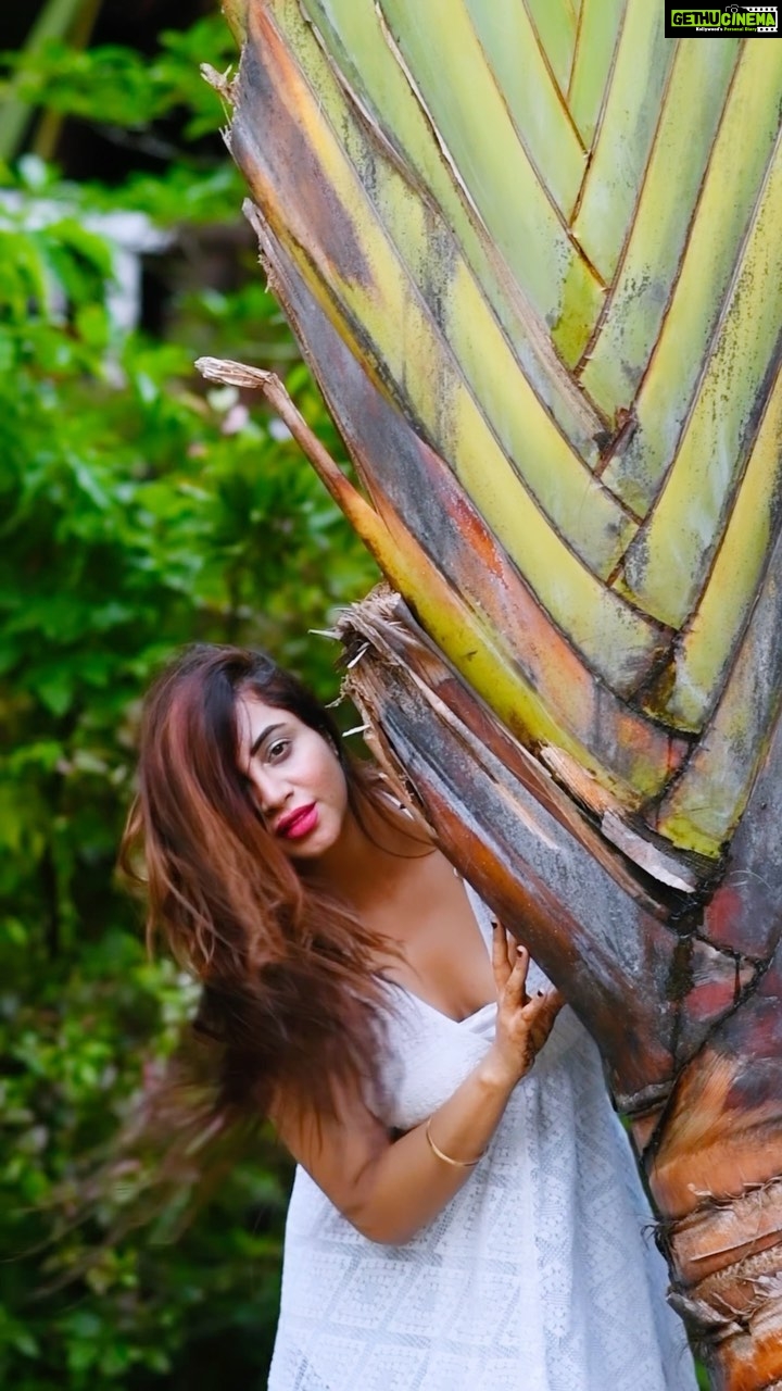 Actress Arshi Khan HD Photos and Wallpapers September 2022 - Gethu Cinema