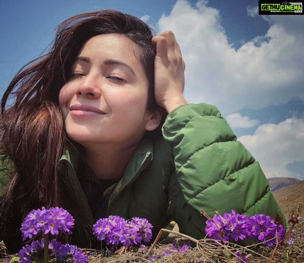 Asha Negi Instagram – Life ajkal NoRegrets, OnlyGrateful! . . # ...