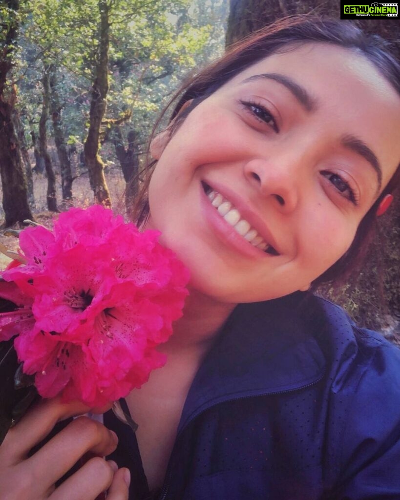 Actress Asha Negi HD Instagram Photos and Wallpapers April 2021 | Gethu ...