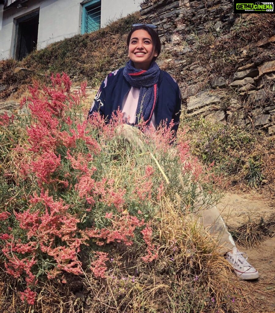 Actress Asha Negi HD Instagram Photos and Wallpapers November 2020 ...