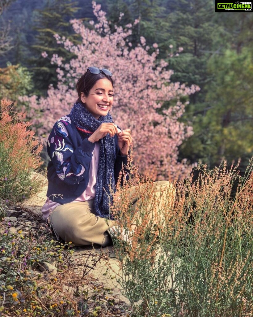 Actress Asha Negi HD Instagram Photos and Wallpapers November 2020 ...