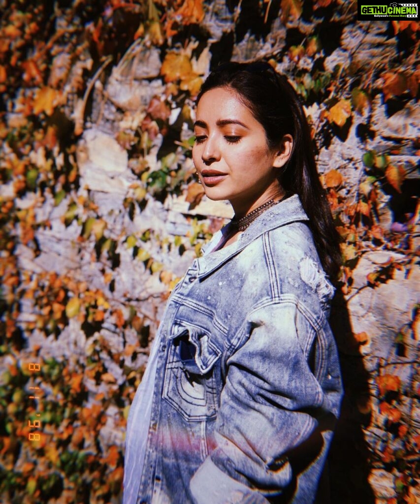 Actress Asha Negi HD Instagram Photos and Wallpapers November 2020 ...