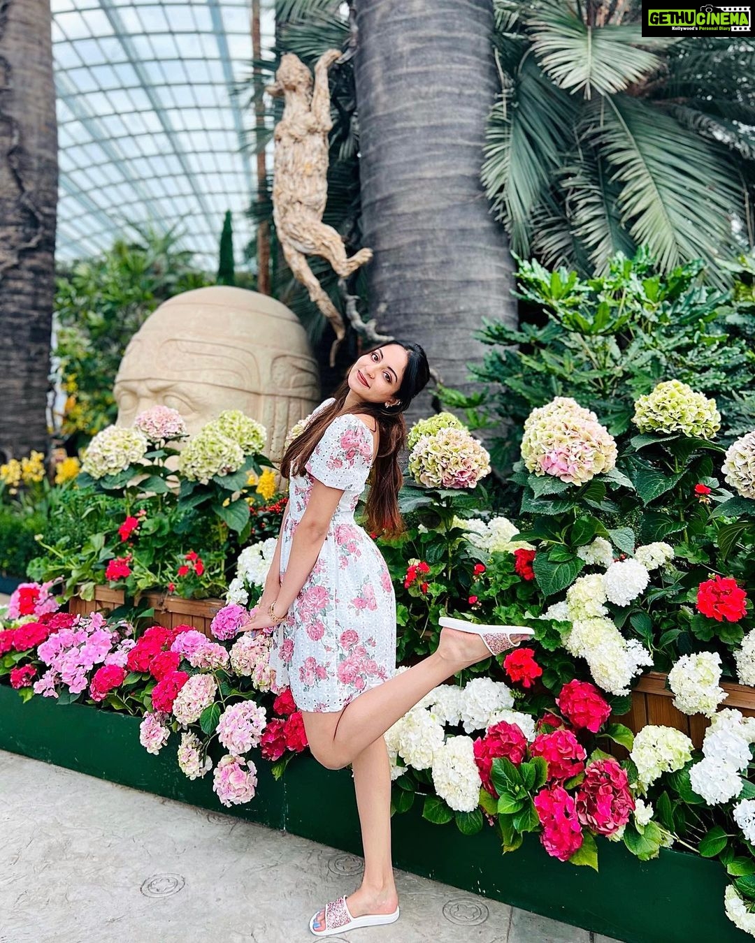 Ishaani Krishna Pin on ishaani