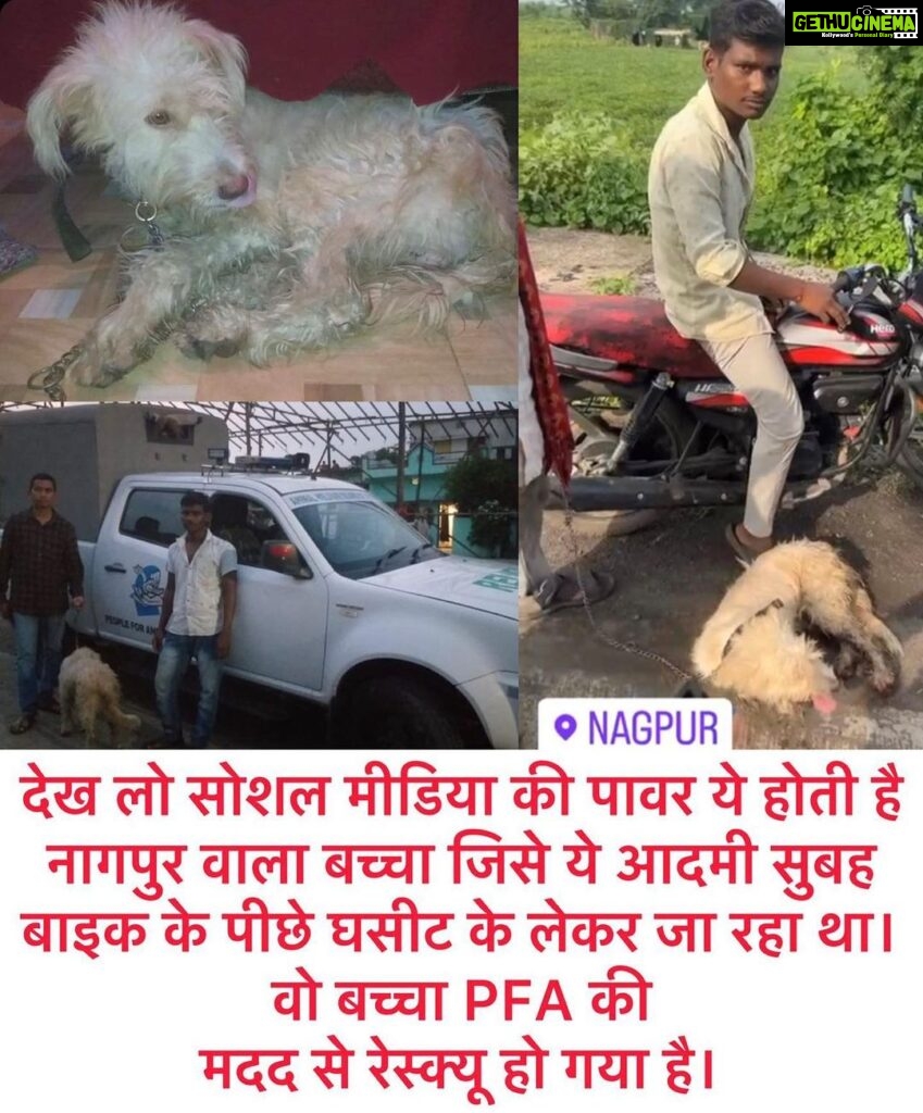 Singer Jasleen Matharu HD Instagram Photos and Wallpapers April 2023 ...