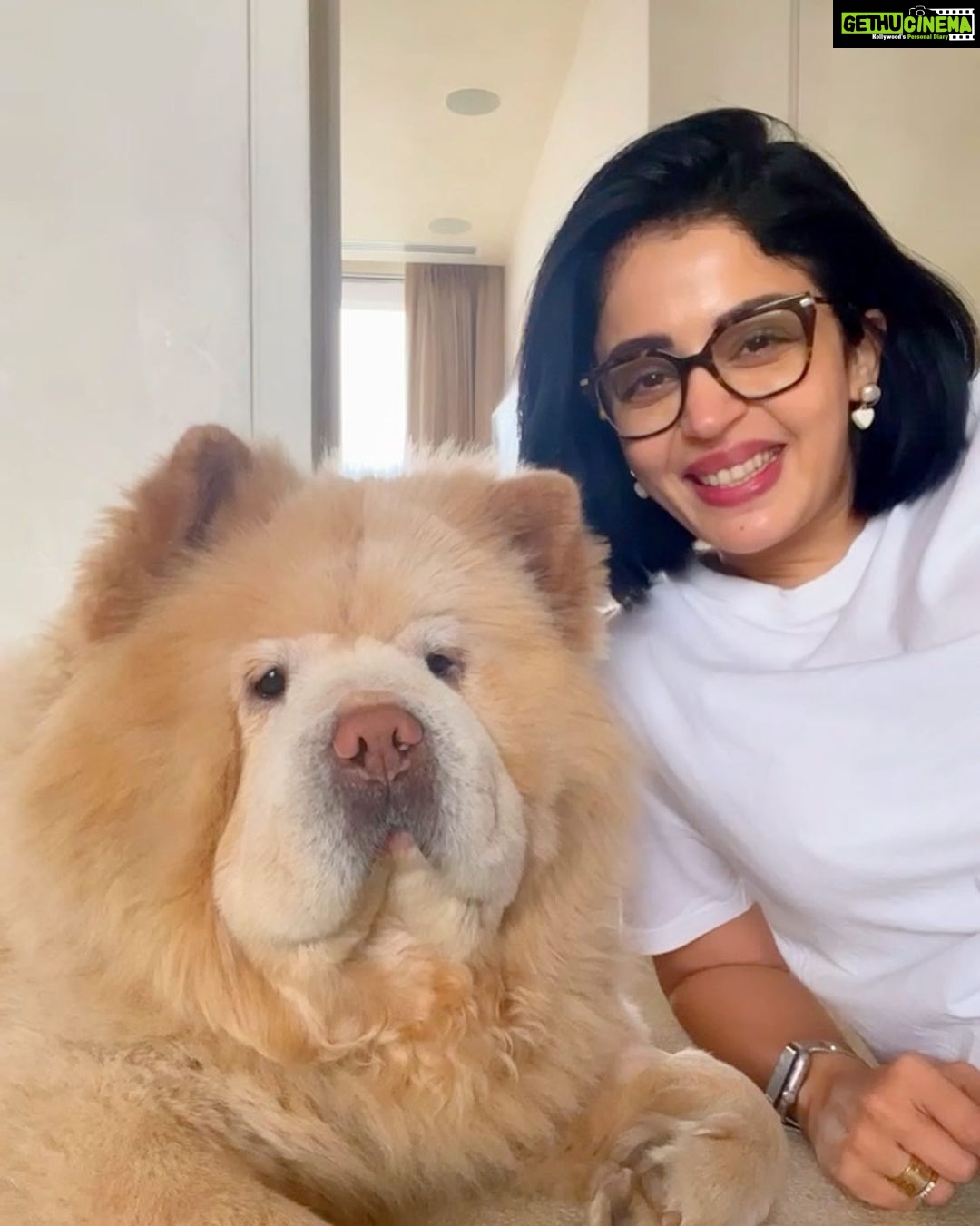 Actress Neha Pendse HD Instagram Photos and Wallpapers April 2023 ...