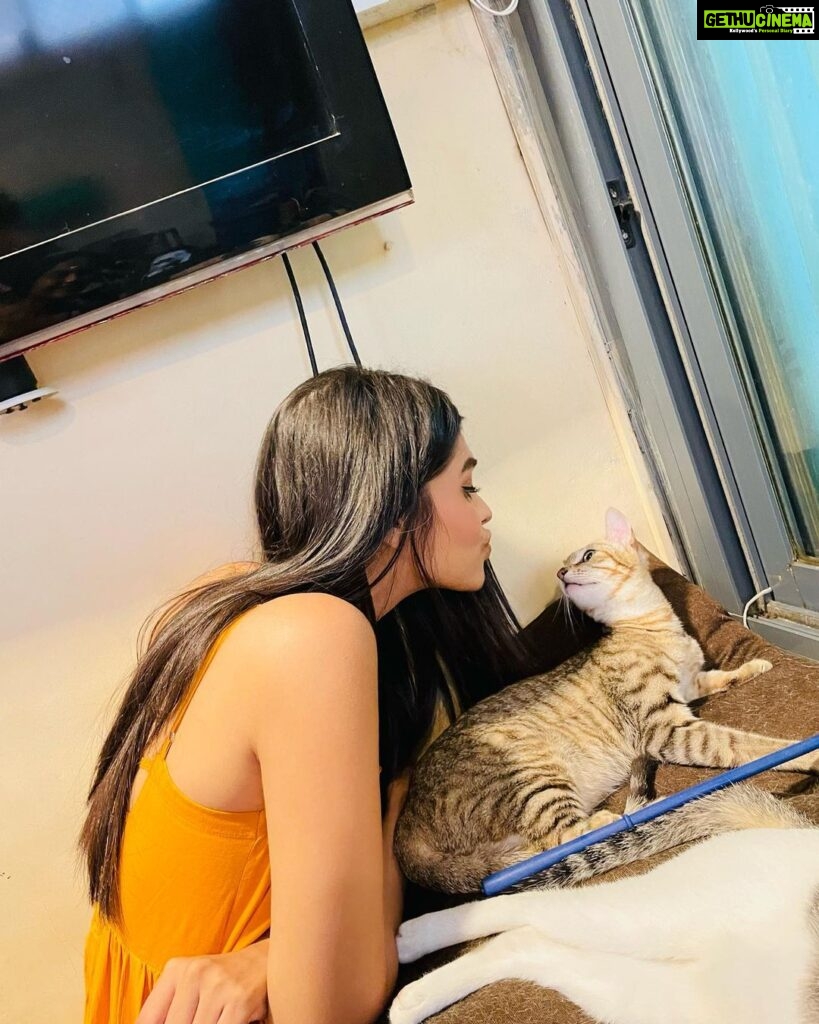 Actress Pranali Rathod HD Instagram Photos and Wallpapers June 2023 ...