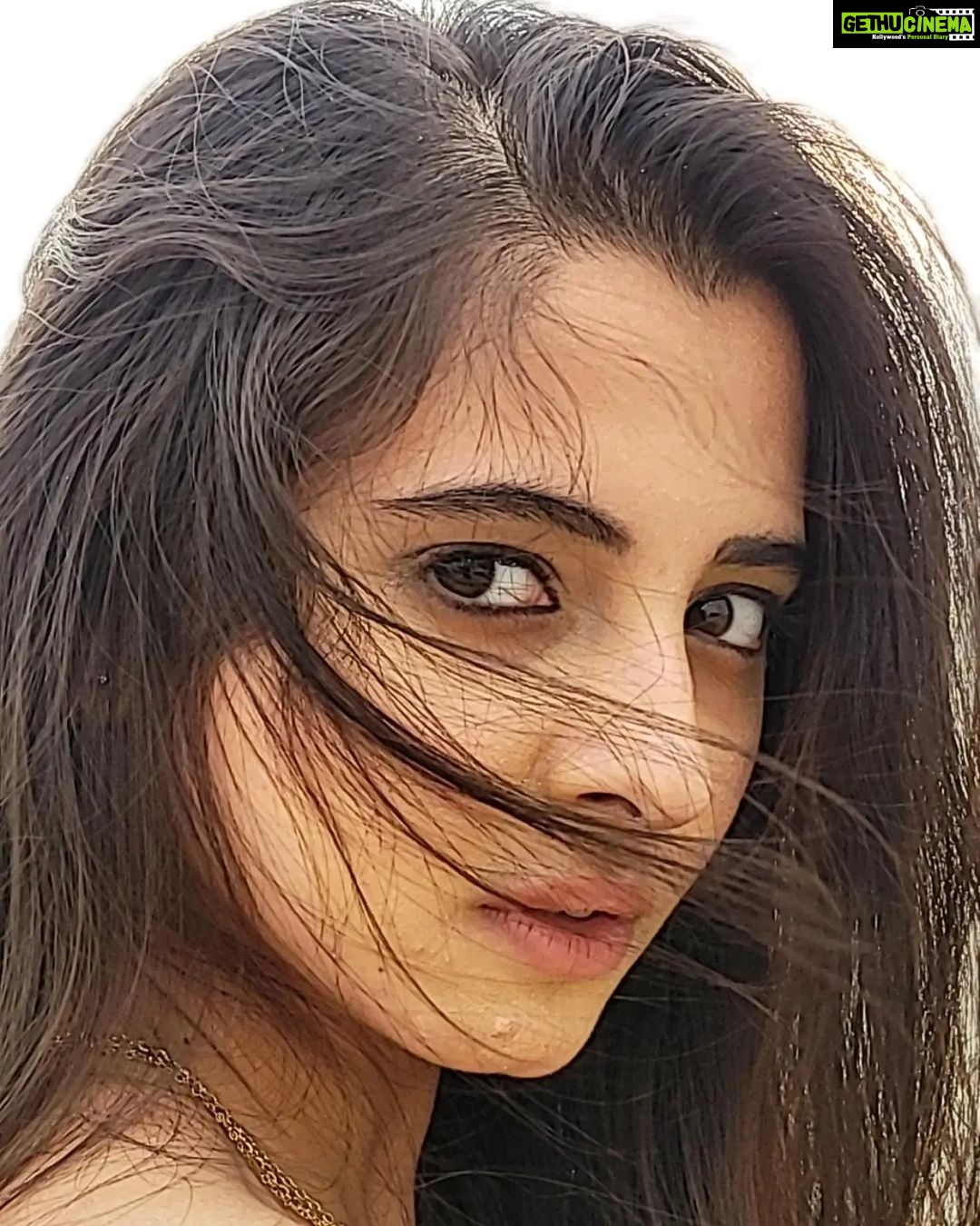 Preethi Asrani Instagram – Dreamy and Filmy! 🕊️🌙 | Gethu Cinema