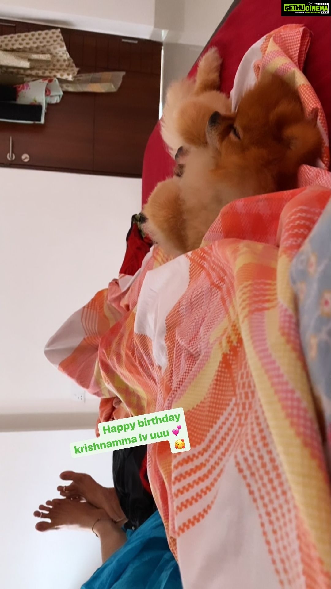 Actress Sureka HD Photos and Wallpapers August 2021 - Gethu Cinema