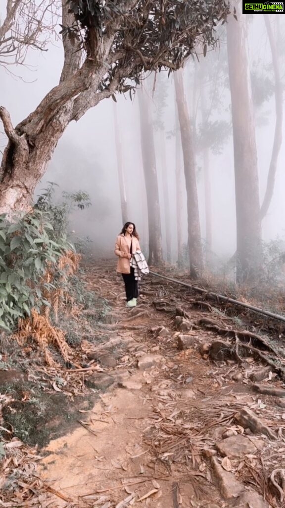 Actress Sureka HD Instagram Photos and Wallpapers January 2022 | Gethu ...