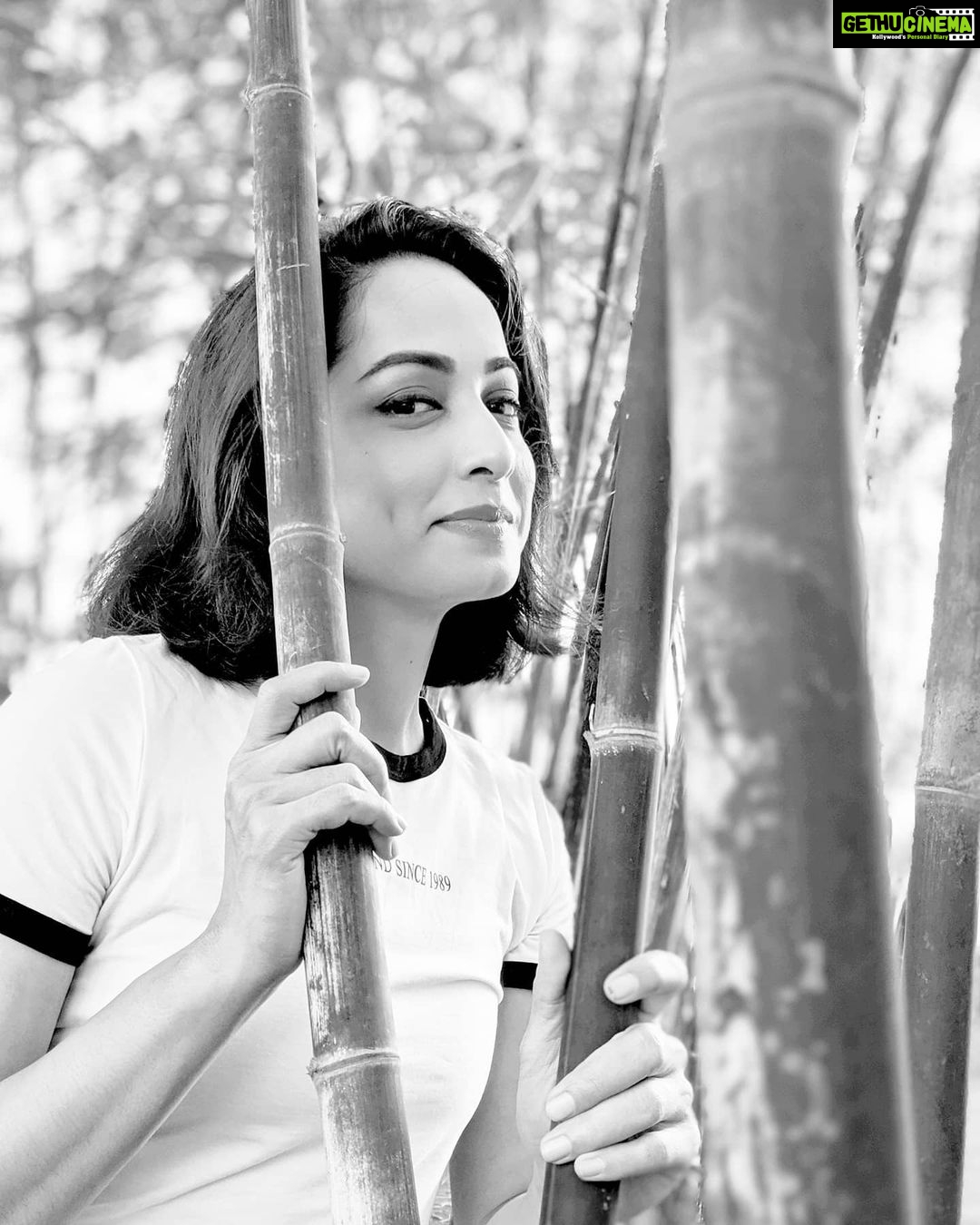 Actress Ansha Sayed HD Instagram Photos and Wallpapers August 2020 ...