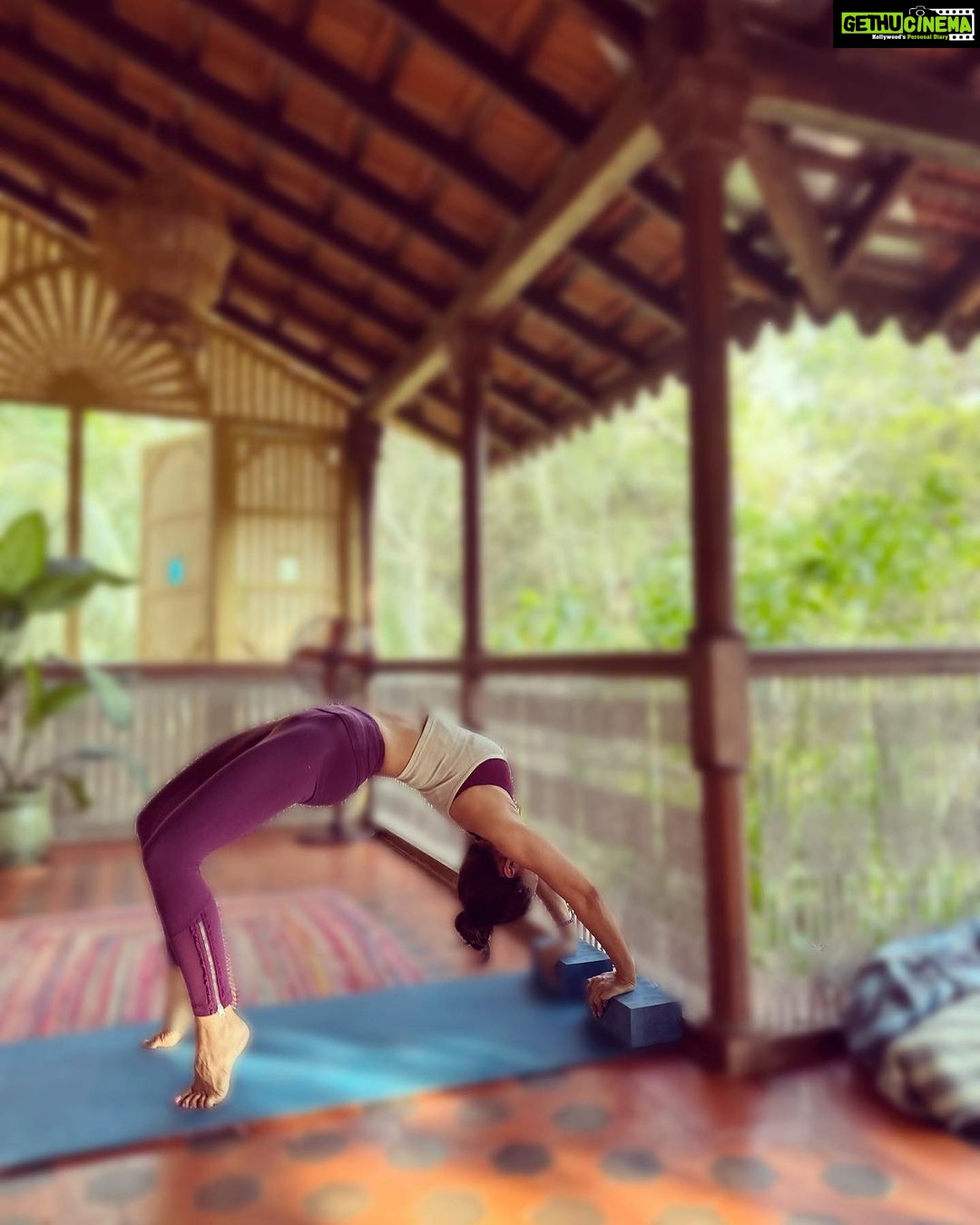 Actress Kim Sharma Top 38 Instagram Photos and Posts - Gethu Cinema