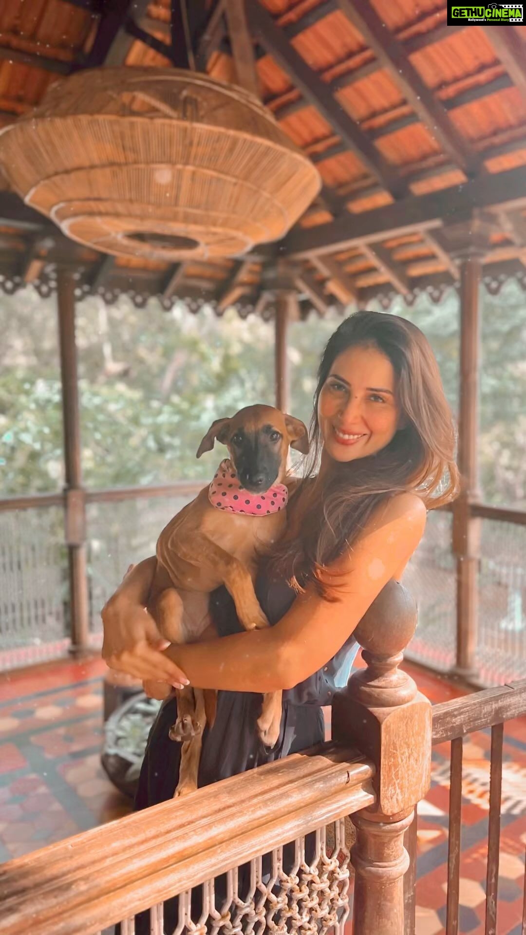 Actress Kim Sharma HD Instagram Photos and Wallpapers January 2023 ...