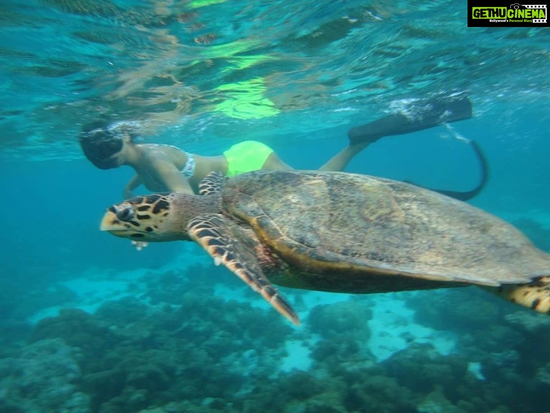 Mukti Mohan Instagram – Reality whistles a different tune underwater ...