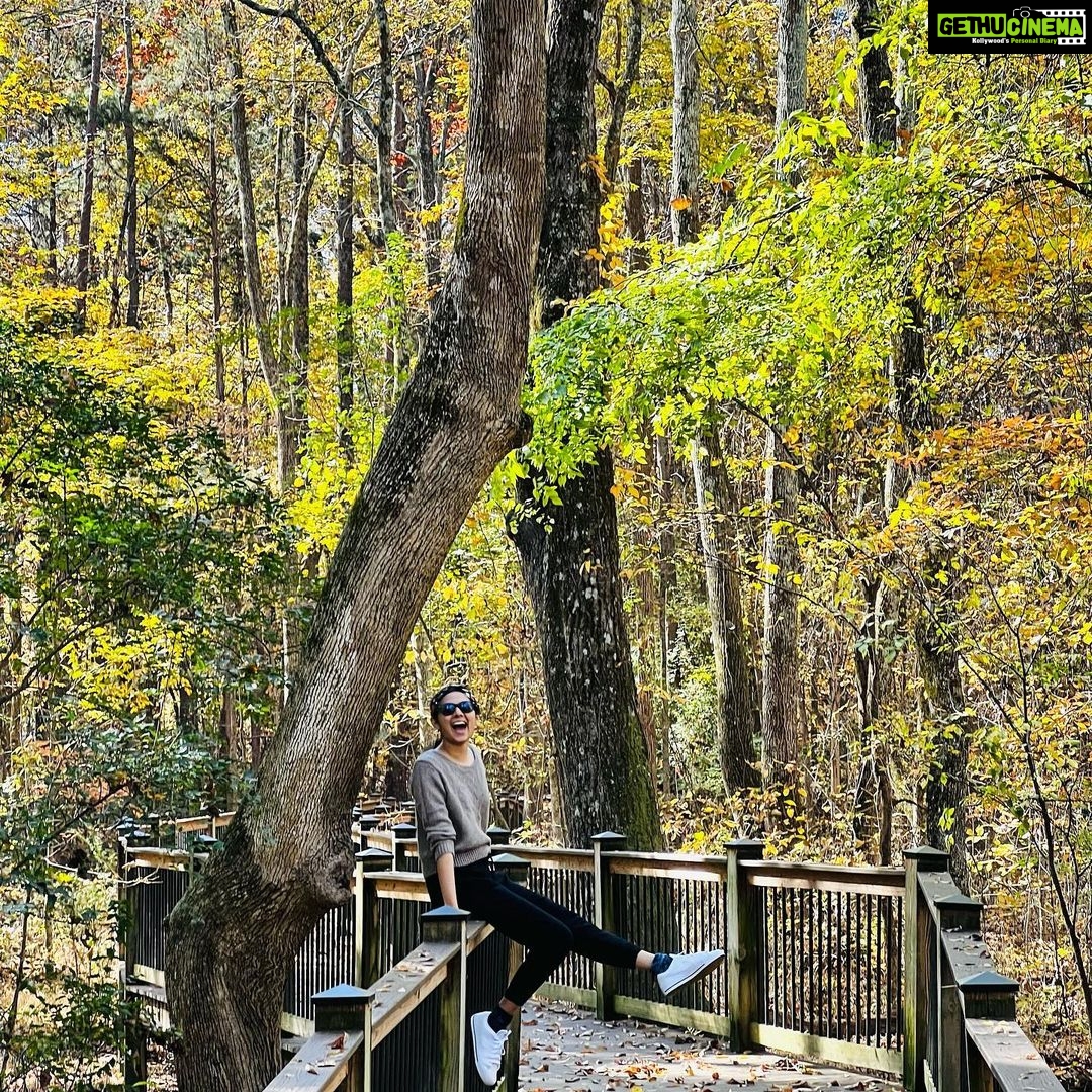 Samvrutha Sunil Instagram – | Gethu Cinema