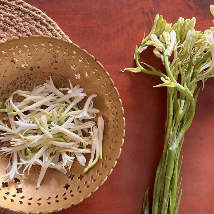 Actress Sayli Patil HD Photos and Wallpapers December 2022 - Gethu Cinema