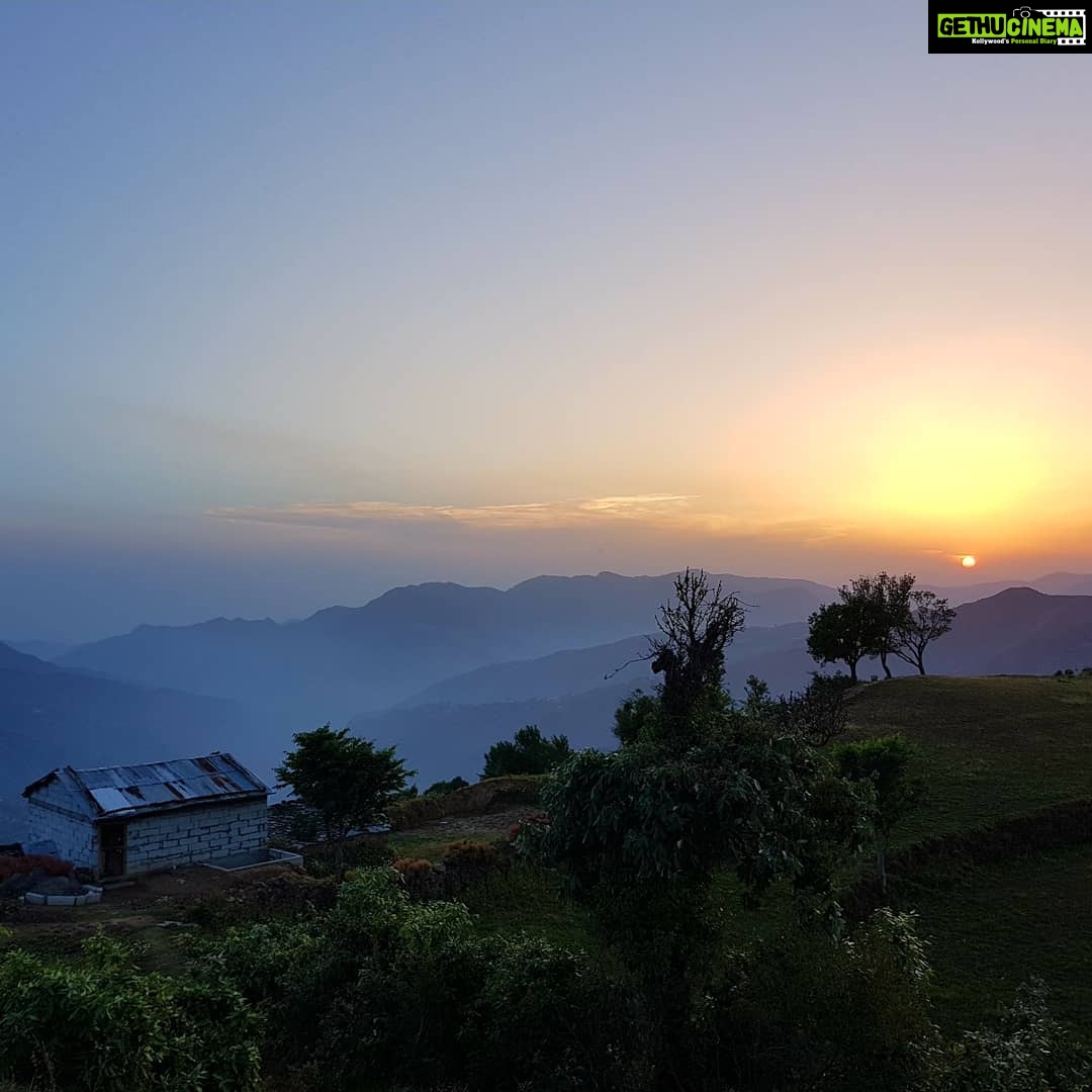 Shruti Bapna Instagram - Fell in love with this beauty called The Goat ...