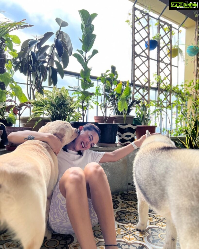 Actress Mimi Chakraborty HD Instagram Photos and Wallpapers May 2023 ...